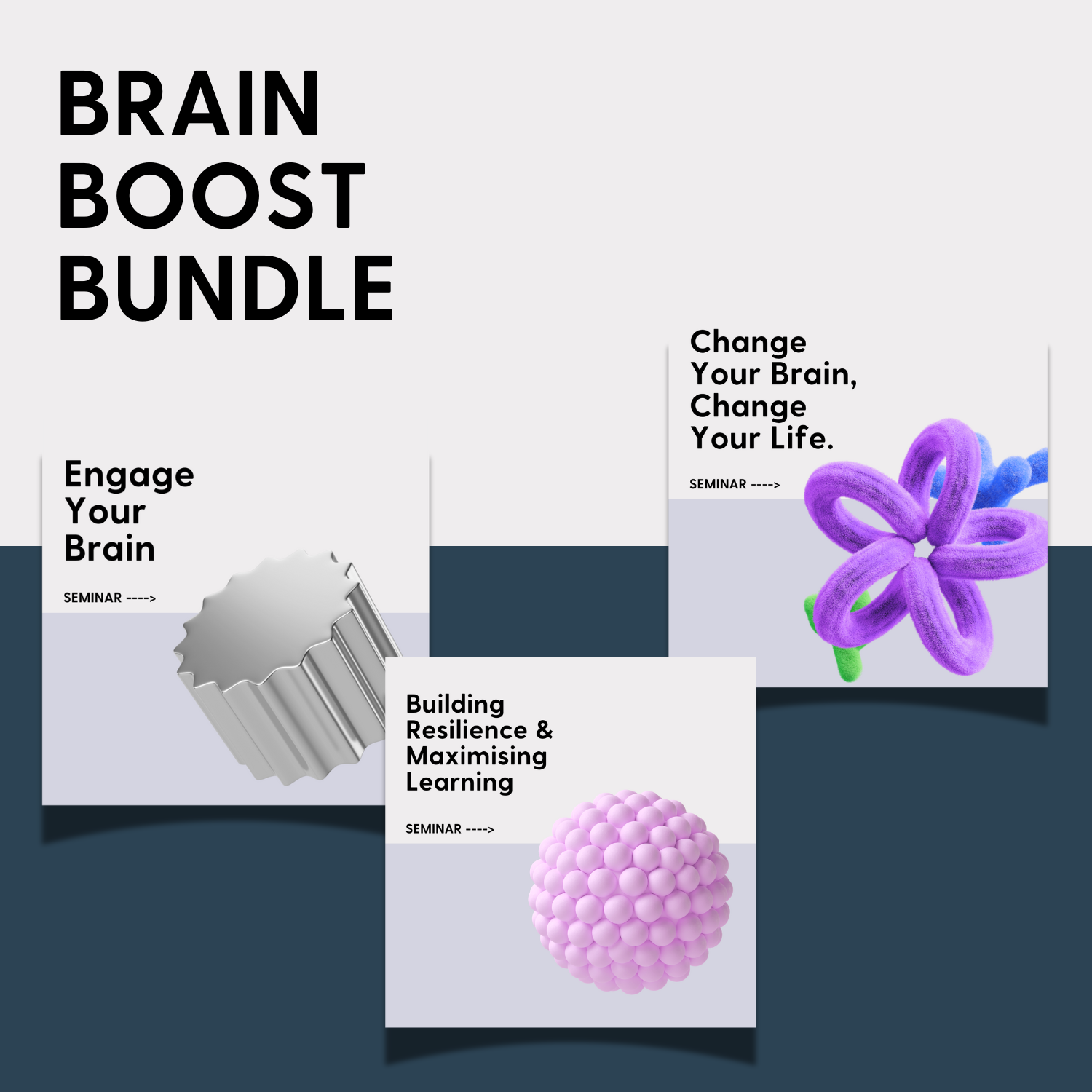 Brain Boost Bundle – Brainy Parenting by Nathan Wallis